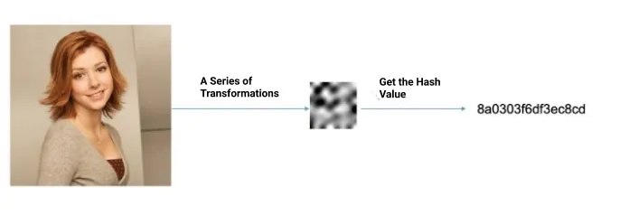 Exploring Image Similarity Search and Deduplication