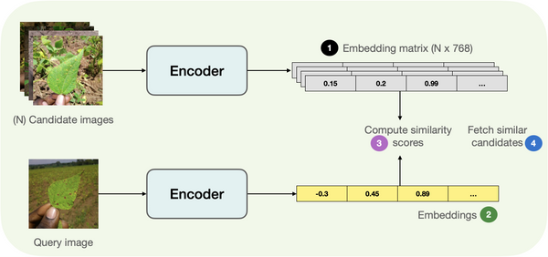Exploring Image Similarity Search and Deduplication